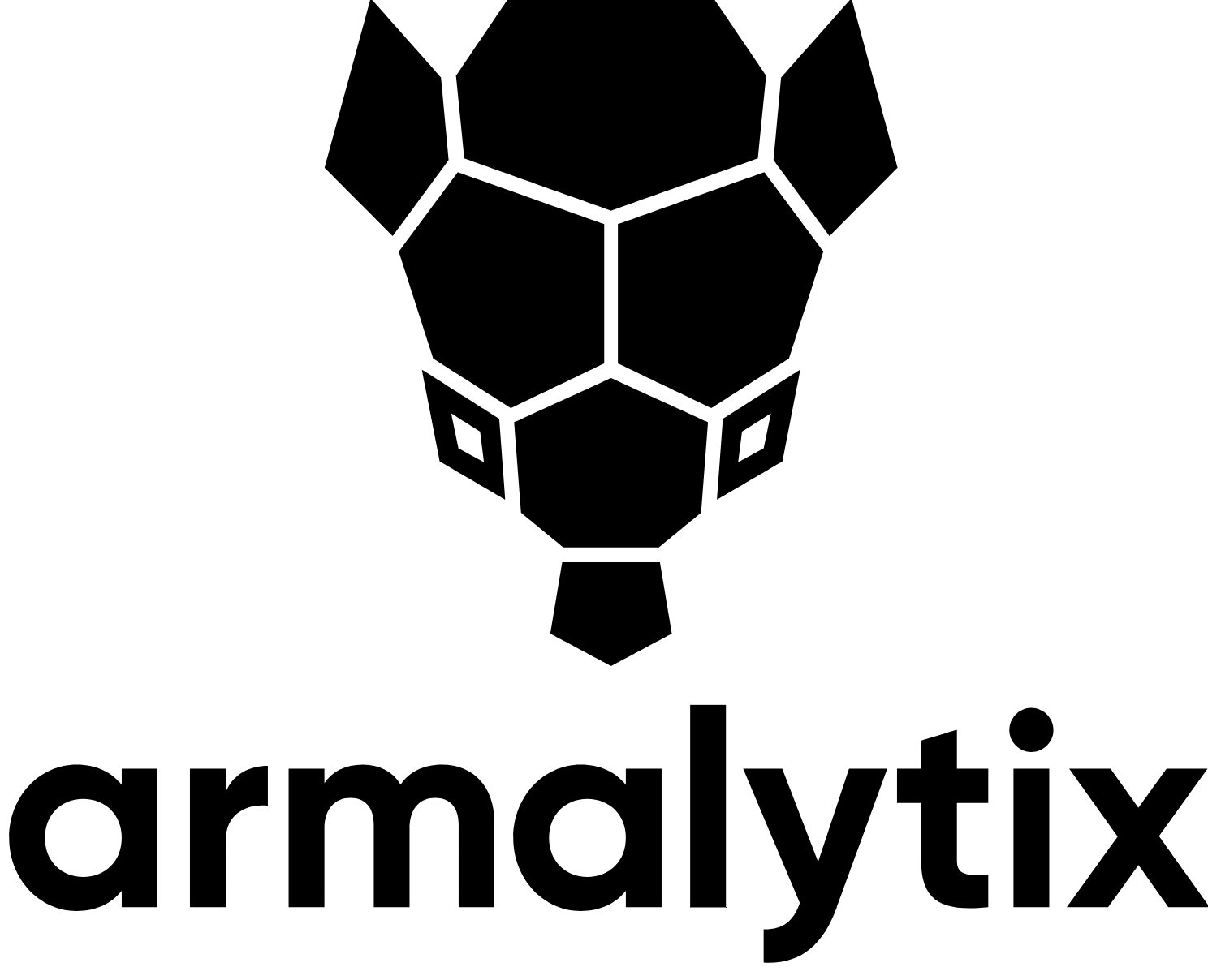 Welcome to Armalytix – Your solution for improving your customer checks.